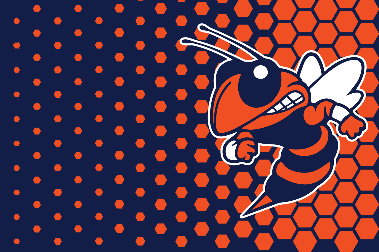 BLOOMFIELD STING FAN GEAR – Second Story Collection